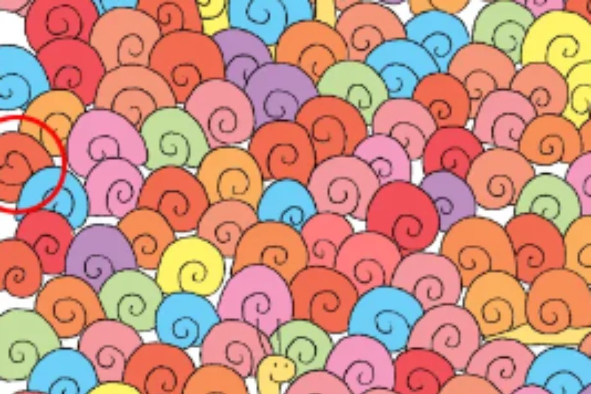 Optical Illusion: Hidden Heart Among Snails, Can You Uncover It in Just ...