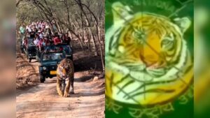 Rajasthan News: Weekly Closure Announced for Ranthambore National Park