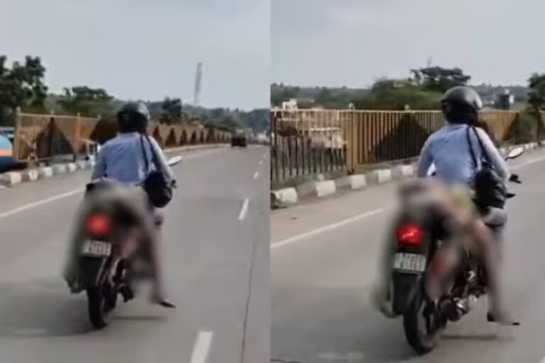 Nagpur Viral Video: Highway Police Share Shocking Clip, After Fatal ...